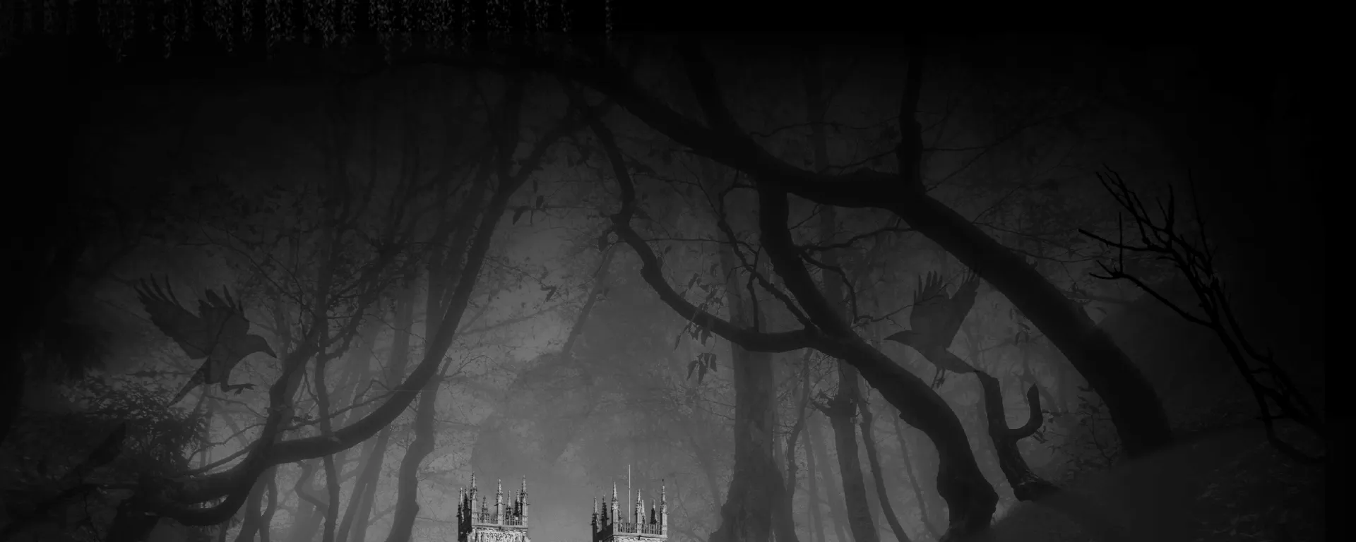 The Plague Doctor | The Blackpool Tower Dungeon